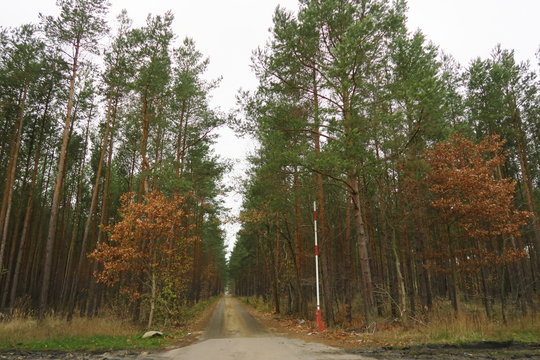 Walf Images – Browse 57 Stock Photos, Vectors, and Video | Adobe Stock