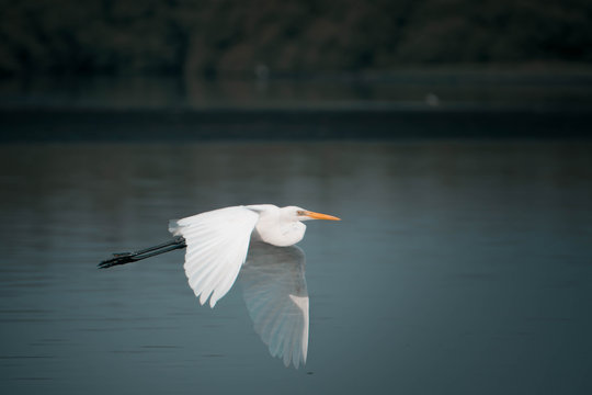 Erget-Bilder: Stock-Fotos & -Videos. | Adobe Stock