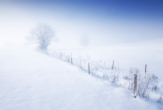 Eiskalt Bilder – Durchsuchen 8,510 Archivfotos, Vektorgrafiken und ...