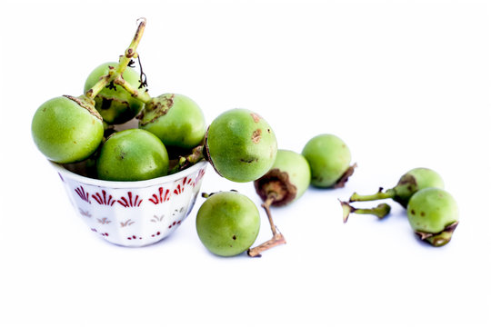 รูปภาพGunda – เลือกดูภาพถ่ายสต็อก เวกเตอร์ และวิดีโอ92 | Adobe Stock