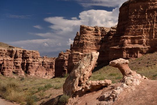 Saksaul bilder – Bläddra bland 174 stockfoton, vektorer och videor ...