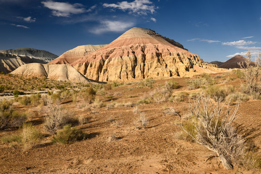Saksaul bilder – Bläddra bland 174 stockfoton, vektorer och videor ...