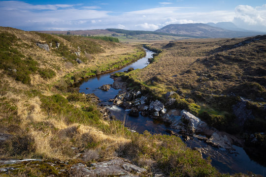 Serpenter Bilder – Durchsuchen 196 Archivfotos, Vektorgrafiken und ...