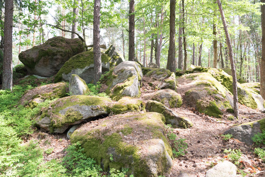 Parkstein Images – Browse 56 Stock Photos, Vectors, and Video | Adobe Stock