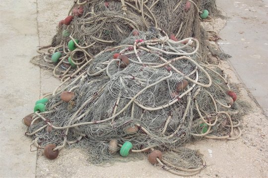 Embroilment Bilder – Durchsuchen 266 Archivfotos, Vektorgrafiken und ...