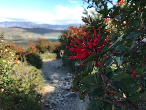 Notro Images – Browse 88 Stock Photos, Vectors, and Video | Adobe Stock