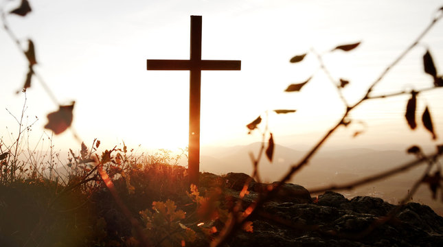 Rest In Peace Cross Images – Browse 12,093 Stock Photos, Vectors, and ...