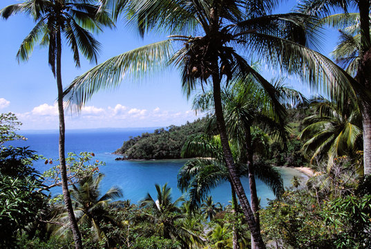 Samana bilder – Bläddra bland 4,520 stockfoton, vektorer och videor ...