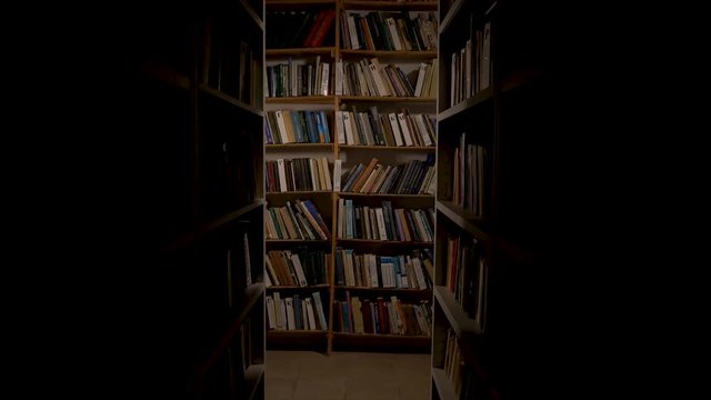 Library Stacks Images – Browse 651,973 Stock Photos, Vectors, and Video ...