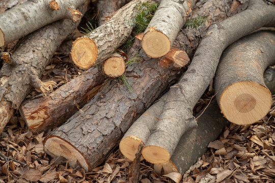 Indiscriminately Images – Browse 47 Stock Photos, Vectors, and Video ...