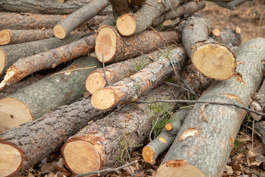 Indiscriminately Images – Browse 47 Stock Photos, Vectors, and Video ...