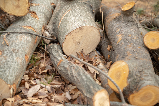 Indiscriminately Images – Browse 47 Stock Photos, Vectors, and Video ...