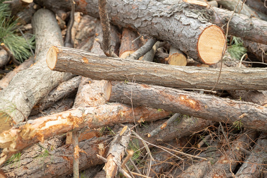 Indiscriminately Images – Browse 47 Stock Photos, Vectors, and Video ...