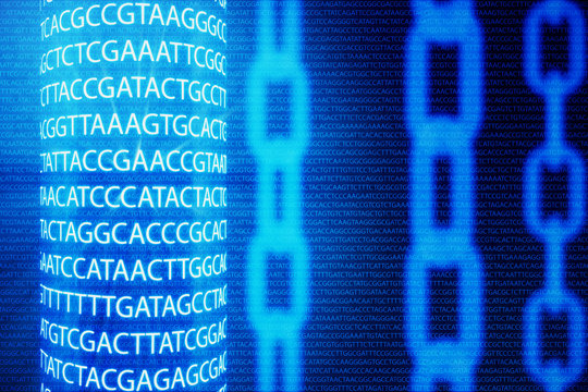 Atcg Images – Browse 104 Stock Photos, Vectors, and Video | Adobe Stock