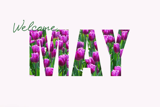 Welcome May Images – Browse 5,963 Stock Photos, Vectors, and Video ...
