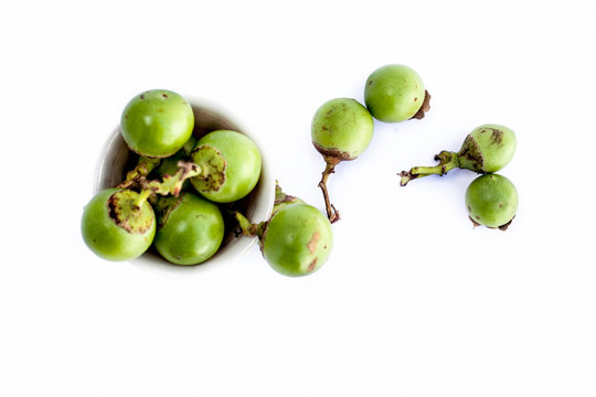 รูปภาพGunda – เลือกดูภาพถ่ายสต็อก เวกเตอร์ และวิดีโอ92 | Adobe Stock