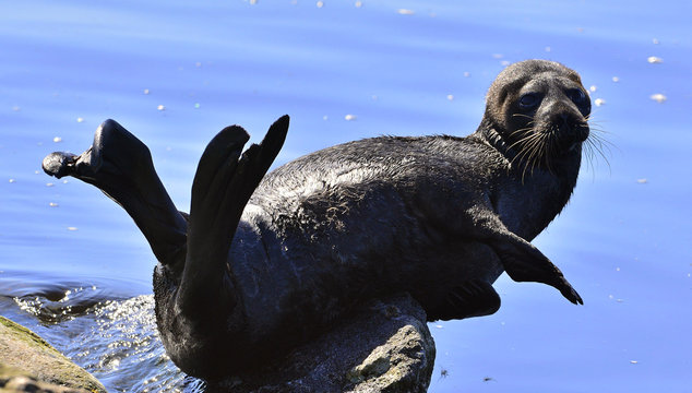 รูปภาพLadoga – เลือกดูภาพถ่ายสต็อก เวกเตอร์ และวิดีโอ14,336 | Adobe Stock