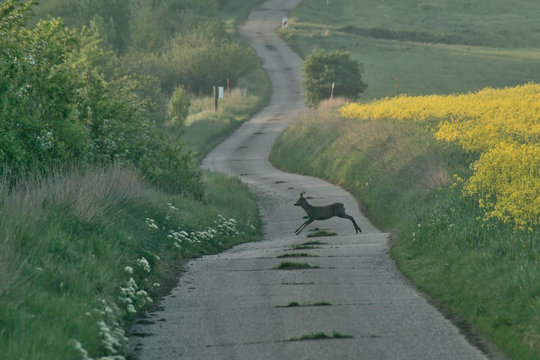 Nagle Images – Browse 16 Stock Photos, Vectors, and Video | Adobe Stock