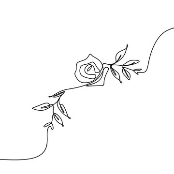 Abstract Rose Line Drawing Images – Browse 142,965 Stock Photos ...