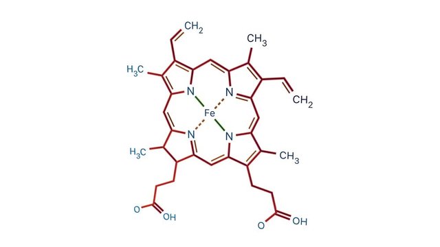 Hemoglobin Chemical Structure