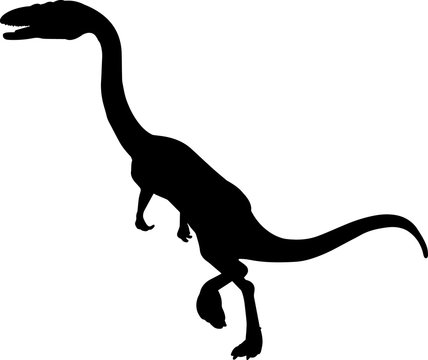 Bauri Images – Browse 38 Stock Photos, Vectors, and Video | Adobe Stock