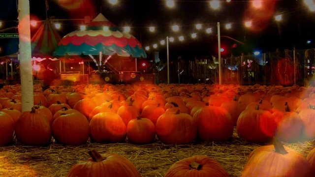 "Rows Of Pumpkins" Imagens – Procure 111 fotos, vetores e vídeos ...