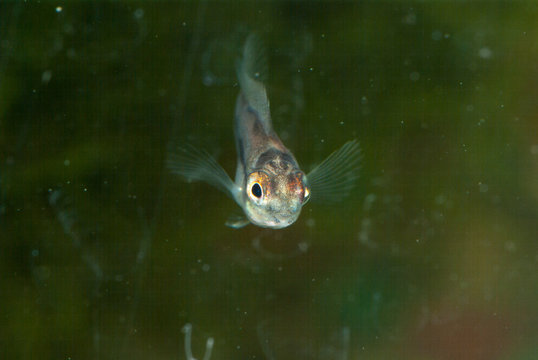 Richard Potvin photos, images, assets | Adobe Stock