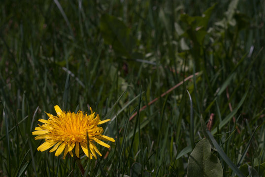 Richard Potvin photos, images, assets | Adobe Stock