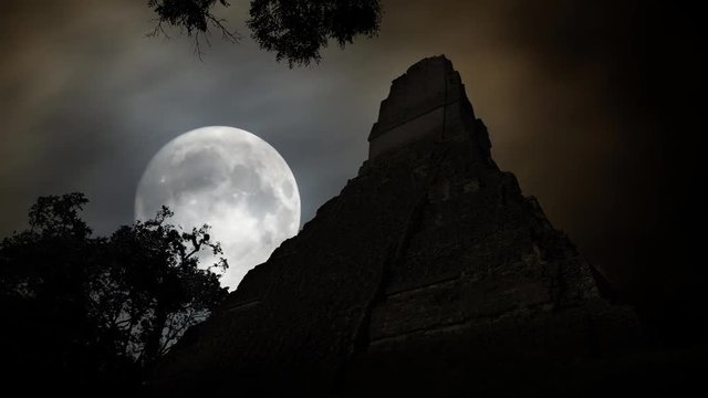 "Yax " Images – Browse 61 Stock Photos, Vectors, and Video | Adobe Stock