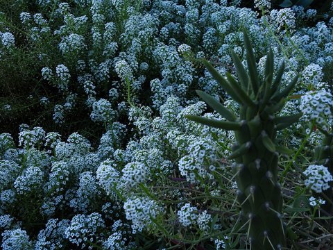 Imágenes de Nuve: descubre bancos de fotos, ilustraciones, vectores y ...