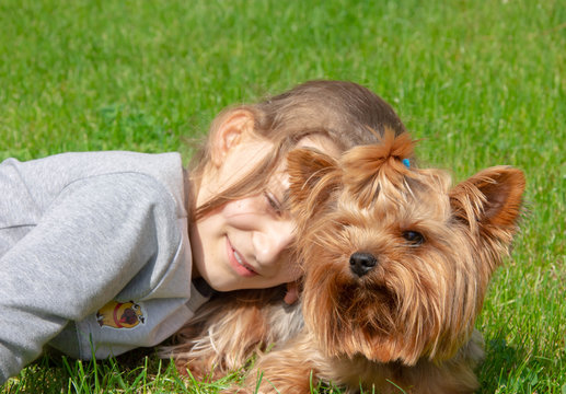 รูปภาพYorki – เลือกดูภาพถ่ายสต็อก เวกเตอร์ และวิดีโอ354 | Adobe Stock