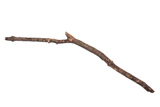 Wooden Branch Stick