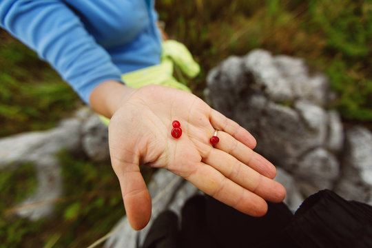 「Stoneberry」の画像 - 18 件の Stock 写真、ベクターおよびビデオ | Adobe Stock