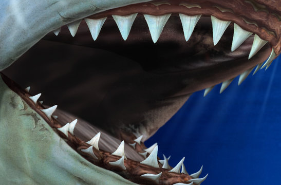 รูปภาพMounth – เลือกดูภาพถ่ายสต็อก เวกเตอร์ และวิดีโอ1,588 | Adobe Stock