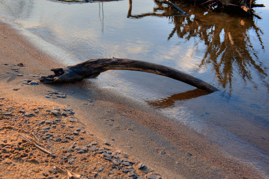 Richard Potvin photos, images, assets | Adobe Stock