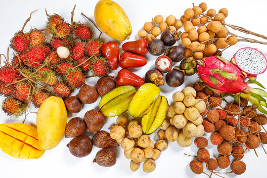 Mangis Images – Browse 57 Stock Photos, Vectors, and Video | Adobe Stock