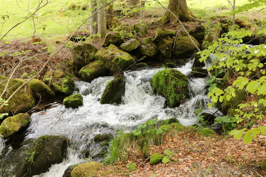 Glotter Bilder – Durchsuchen 205 Archivfotos, Vektorgrafiken und Videos ...