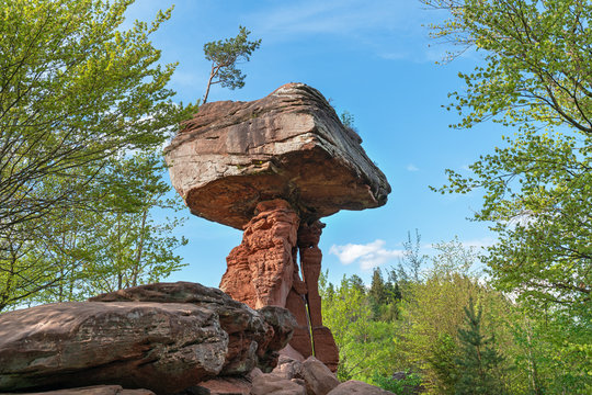 Hinterweidenthal-Bilder: Stock-Fotos & -Videos. | Adobe Stock