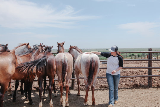 Untrained Images – Browse 535 Stock Photos, Vectors, and Video | Adobe ...