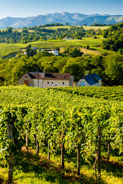 Jurancon Bilder – Durchsuchen 361 Archivfotos, Vektorgrafiken und ...