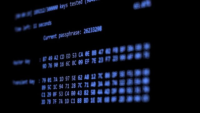รูปภาพBruteforce – เลือกดูภาพถ่ายสต็อก เวกเตอร์ และวิดีโอ490 | Adobe Stock