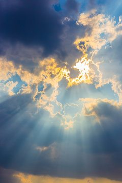 Free Sunlight Images – Browse 26,136 Free Stock Photos, Vectors, and ...