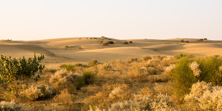 Where Is The Great Indian Desert