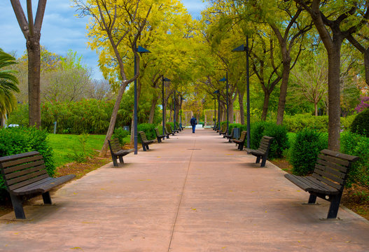 รูปภาพMatojo – เลือกดูภาพถ่ายสต็อก เวกเตอร์ และวิดีโอ163 | Adobe Stock