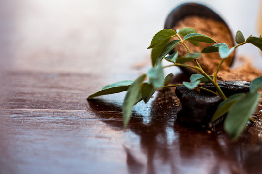 Inguva Images – Browse 33 Stock Photos, Vectors, and Video | Adobe Stock