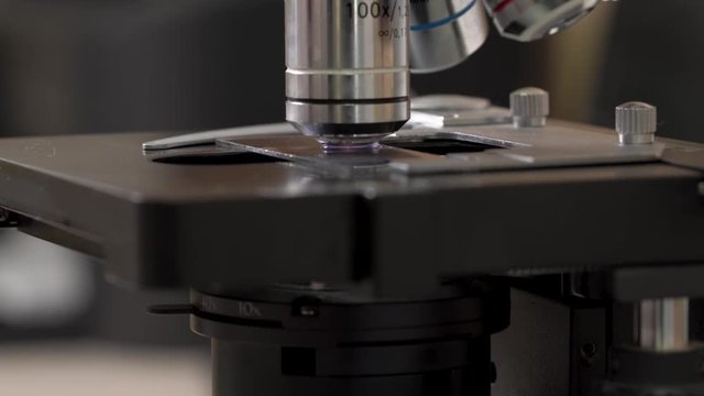 "Compound Microscope" Images – Browse 117 Stock Photos, Vectors, and Video | Adobe Stock