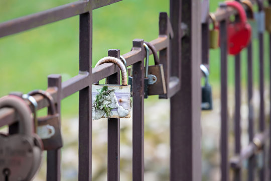 Mutuality Images – Browse 2,691 Stock Photos, Vectors, and Video ...