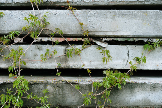 Trudge Images – Browse 1,588 Stock Photos, Vectors, and Video | Adobe Stock