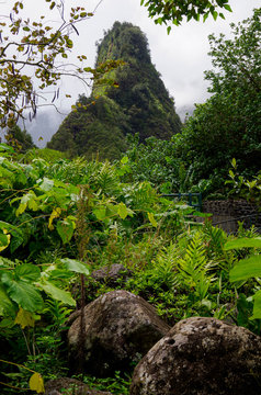 Polynesier Images – Browse 38 Stock Photos, Vectors, and Video | Adobe ...