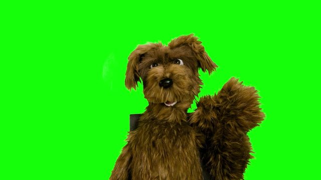 Dog Puppet Images – Browse 3,630 Stock Photos, Vectors, and Video ...